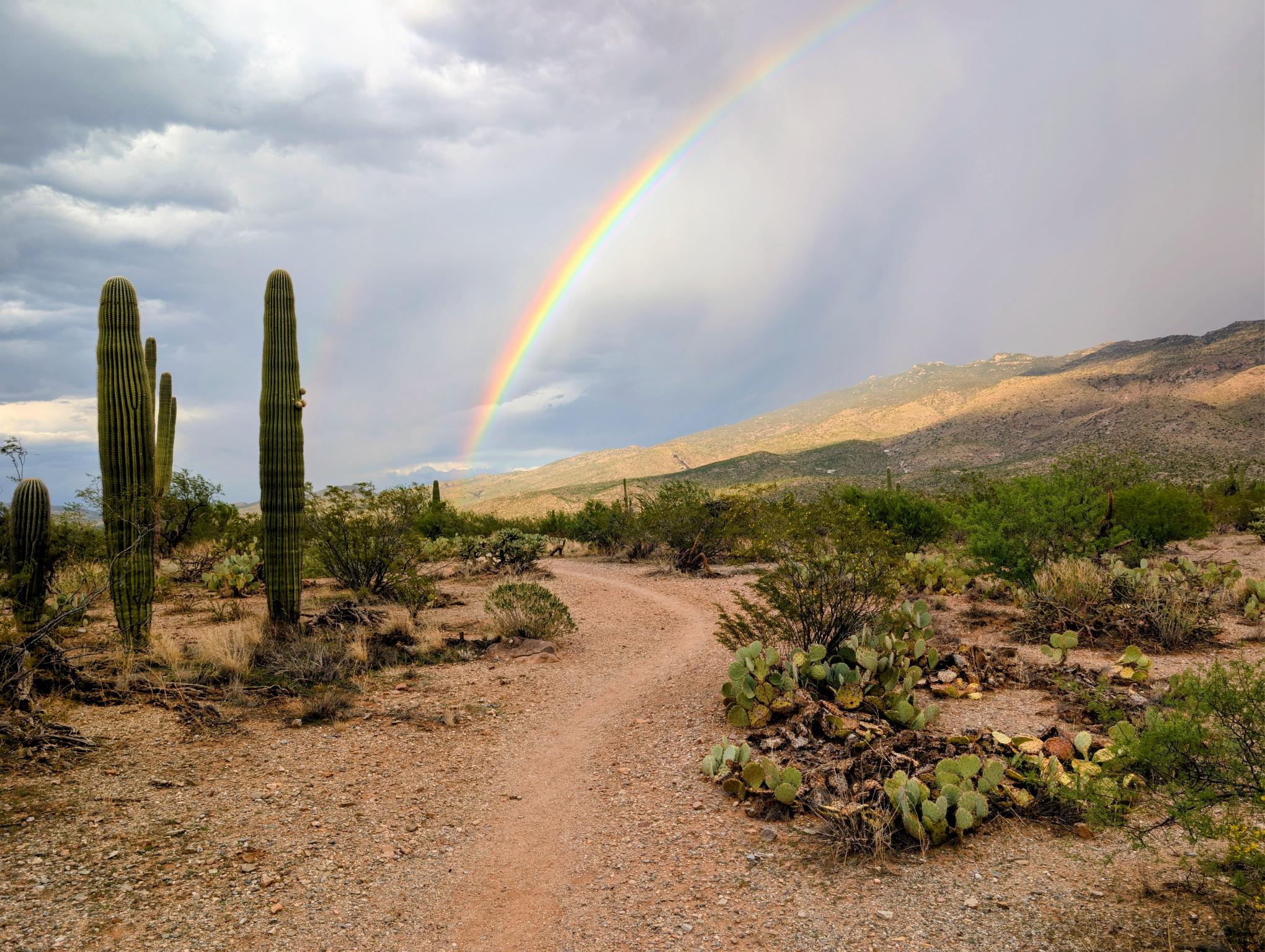 Arizona Rainbow Canvas – I Love Arizona